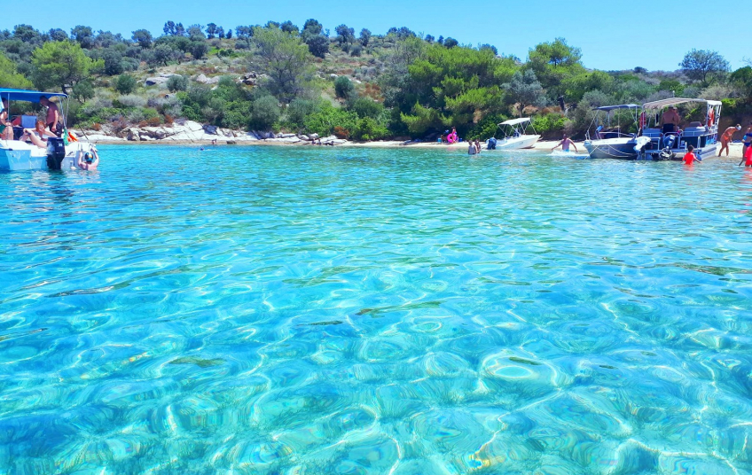 Χαλκιδική: Έφοδος του Εσωτερικών Υποθέσεων στο Δασαρχείο Πολυγύρου για ...